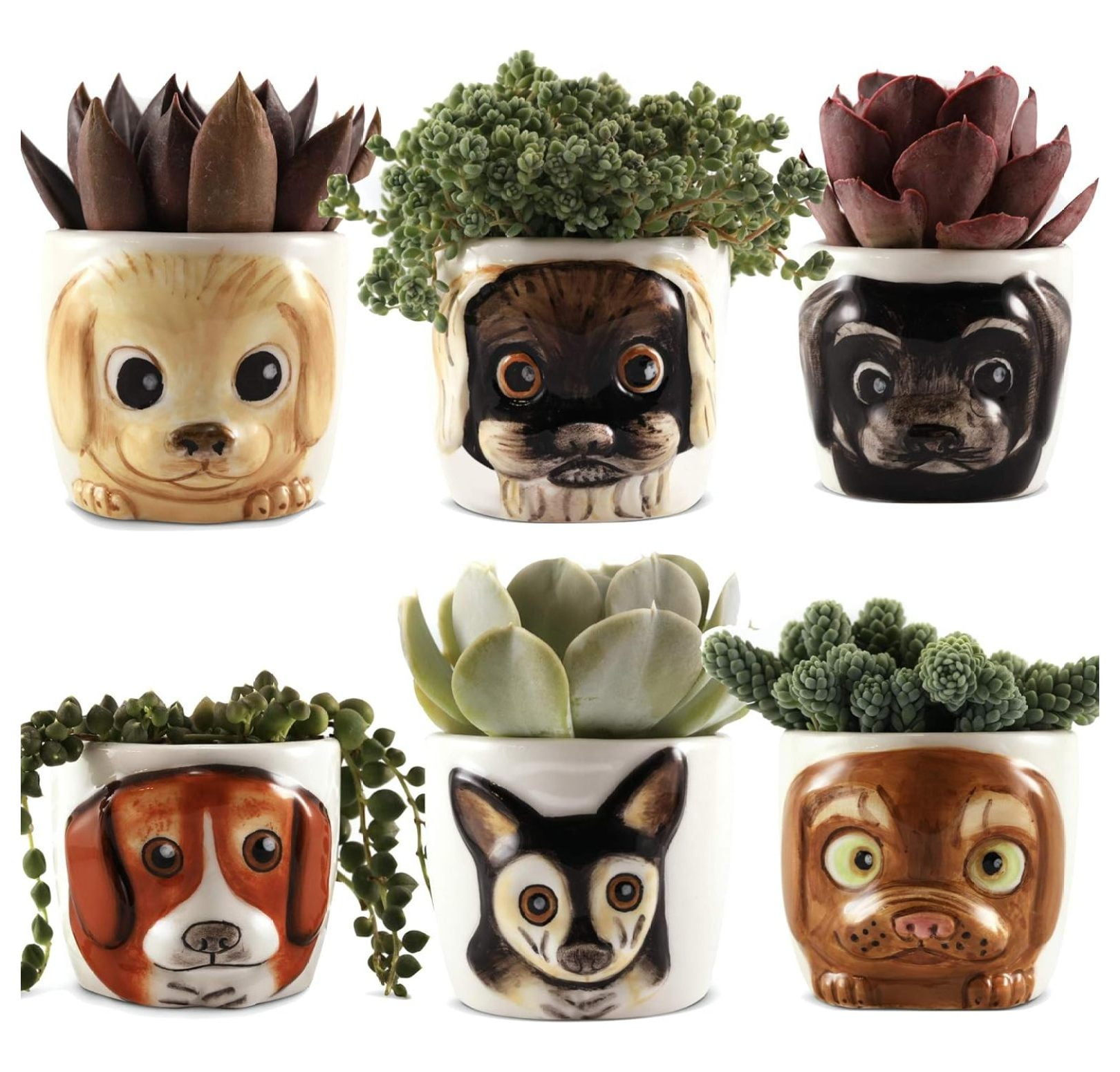SarCQg Cat Planter Pot - 6 Mini Succulent Kitty Pots - Cute Flower Pots ...