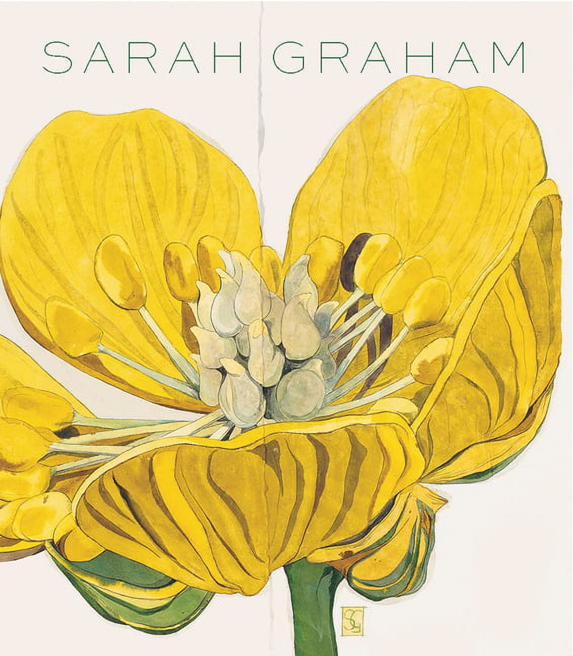 Sarah Graham Books - Walmart.com