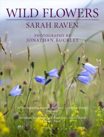 Sarah Raven's Wild Flowers - Walmart.com