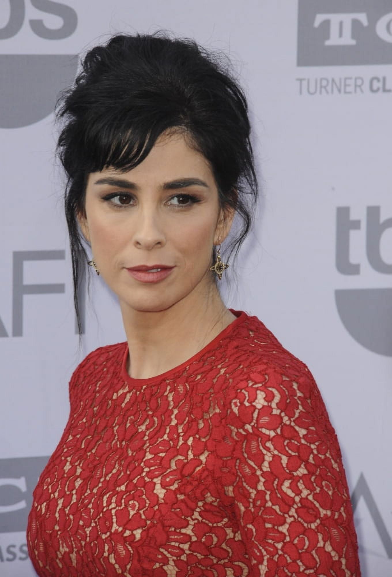 Sarah Silverman At Arrivals For American Film Institute S 43Rd Life ...