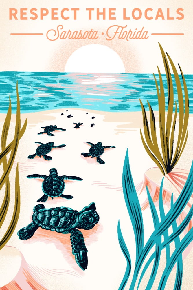 Sarasota, Florida, Turtle, Respect the Locals (16x24 Giclee Gallery Art ...
