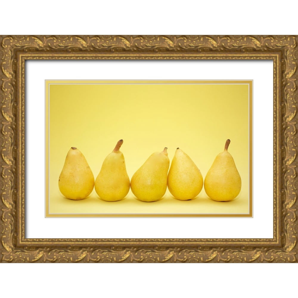 Saratonina, Sarah 24x17 Gold Ornate Wood Framed with Double Matting ...