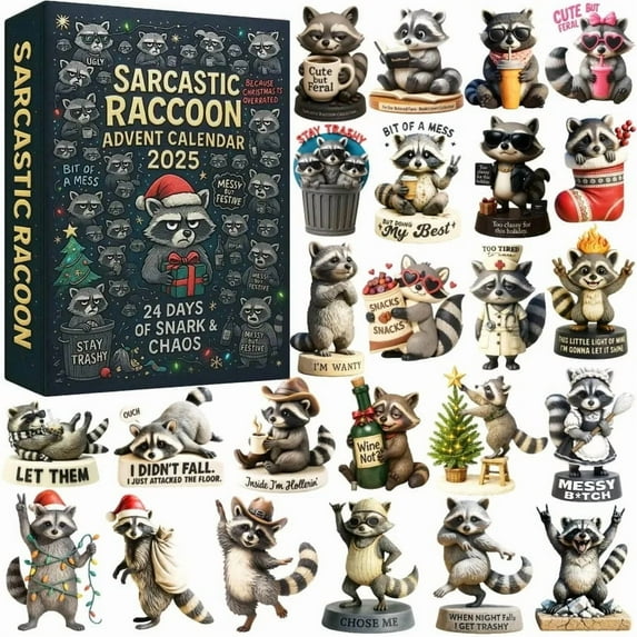 Sarcastic Raccoon Advent Calendar 2025 24 Days Christmas Countdown With ...