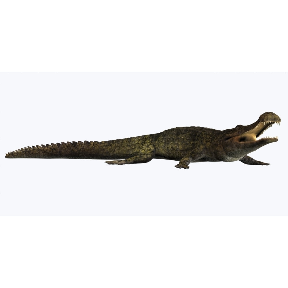 Sarcosuchus crocodyliform from the prehistoric era Poster Print ...
