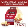 Sargento® Balanced Breaks® Snacks White Cheddar Cheese, Roasted Almonds ...