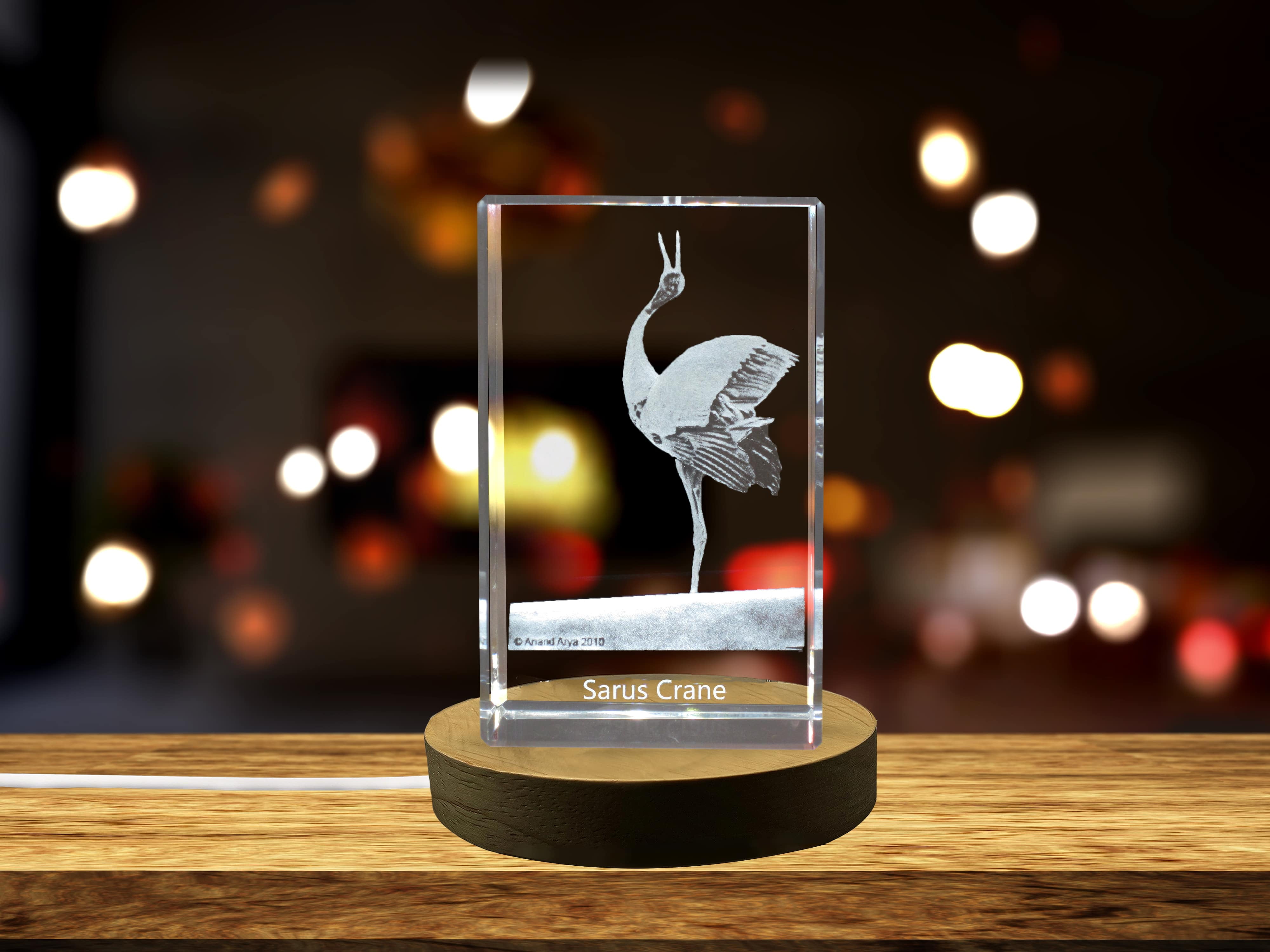 Sarus Crane 3D Engraved Crystal 3D Engraved Crystal Keepsake/Gift/Decor ...