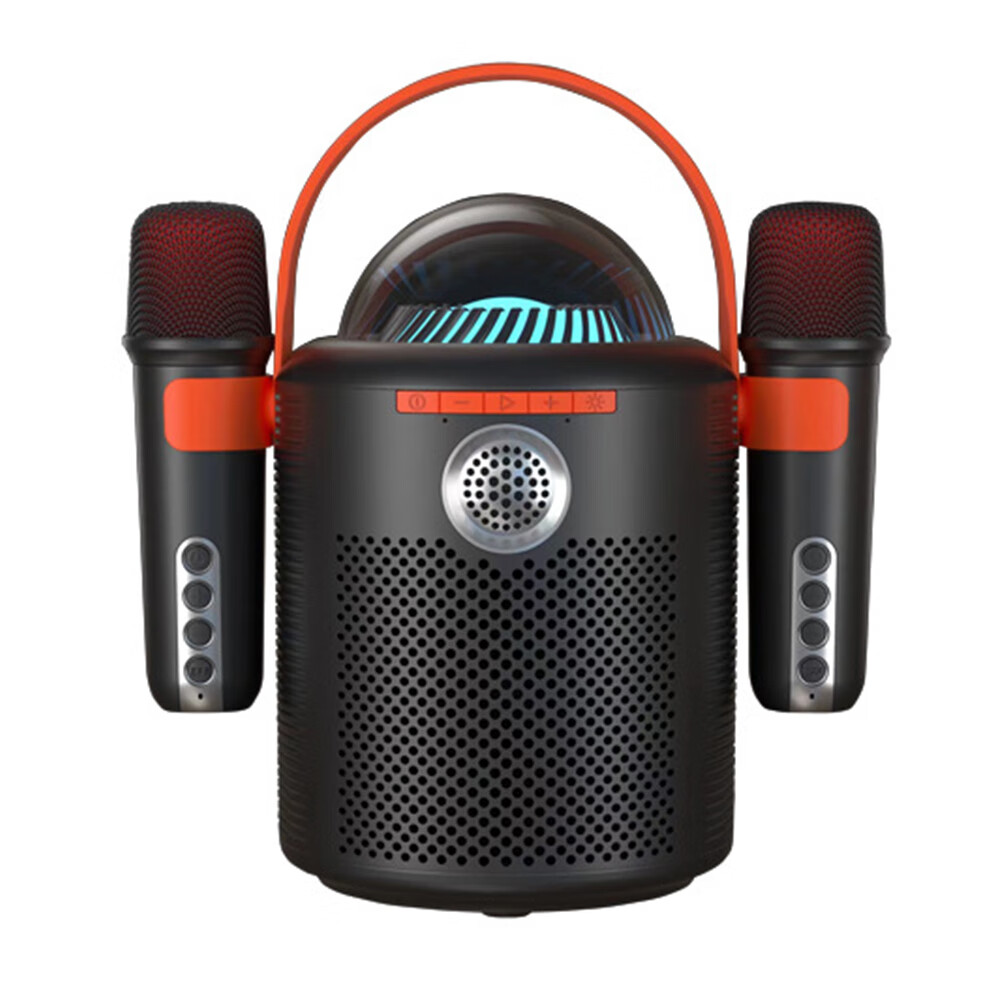 Sarzi Portable Handheld BT Wireless Audio Microphone Kit Loud Volume ...