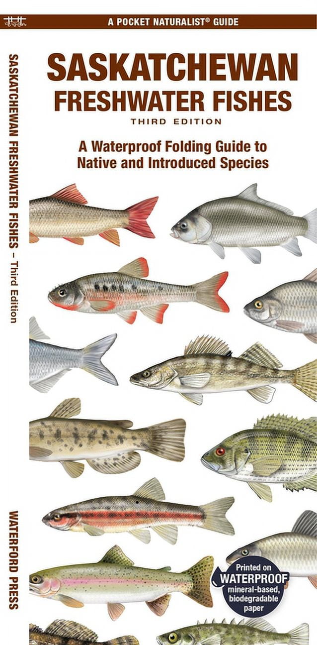 Saskatchewan Fishes: A Folding Pocket Guide to All Known Native and ...