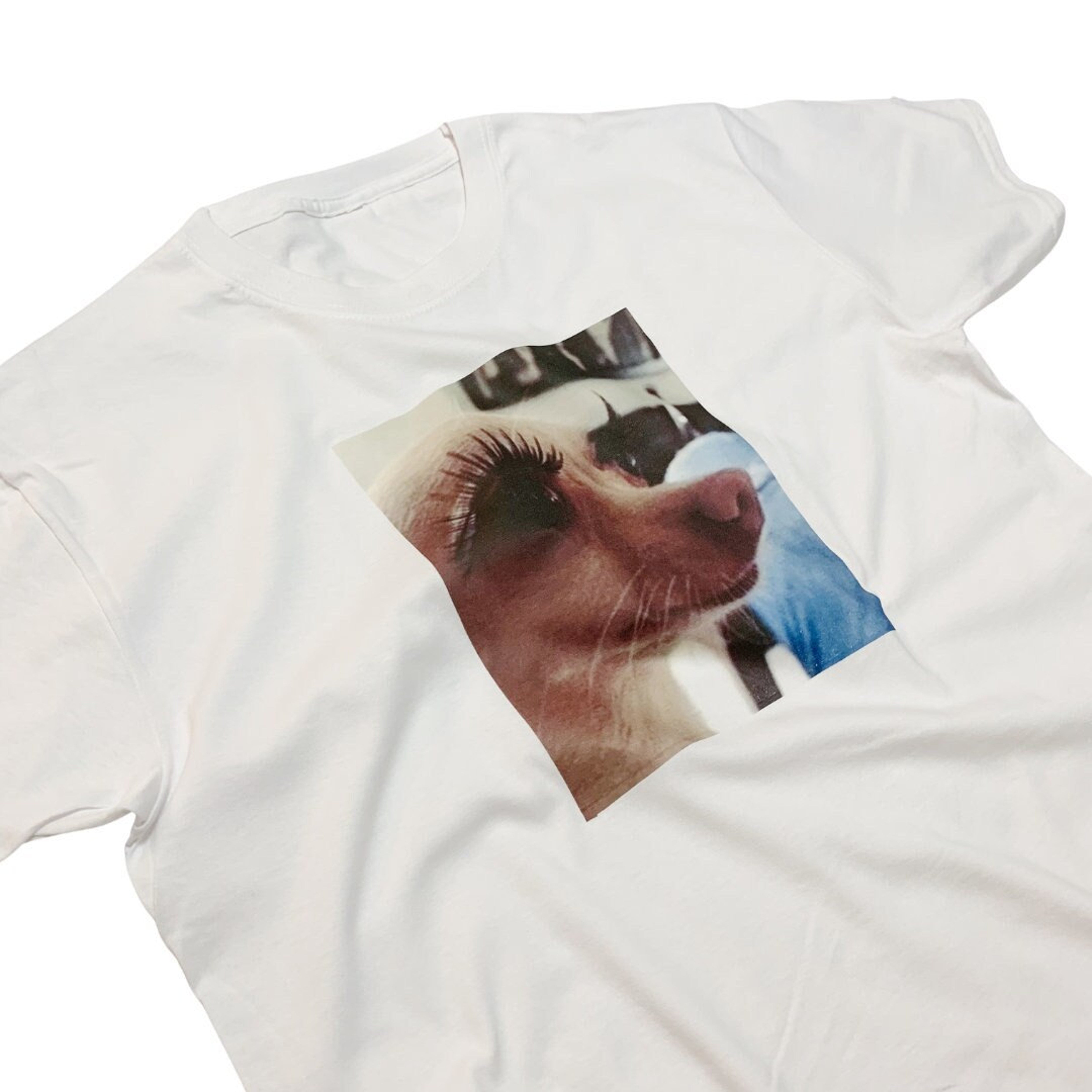 Sassy Dog Meme T-Shirt Eyelashes on Fleek Y2K Aesthetic Iconic Famous ...