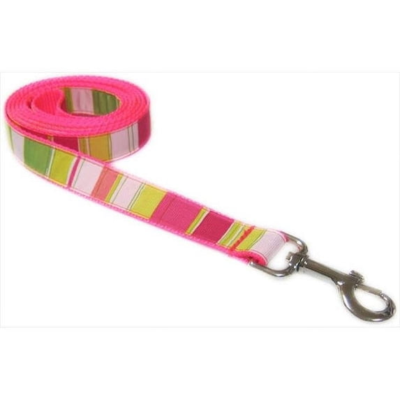 Sassy Dog Wear STRIPE-NEON PINK3-L 6 ft. Multi Stripe Dog Leash- Neon ...