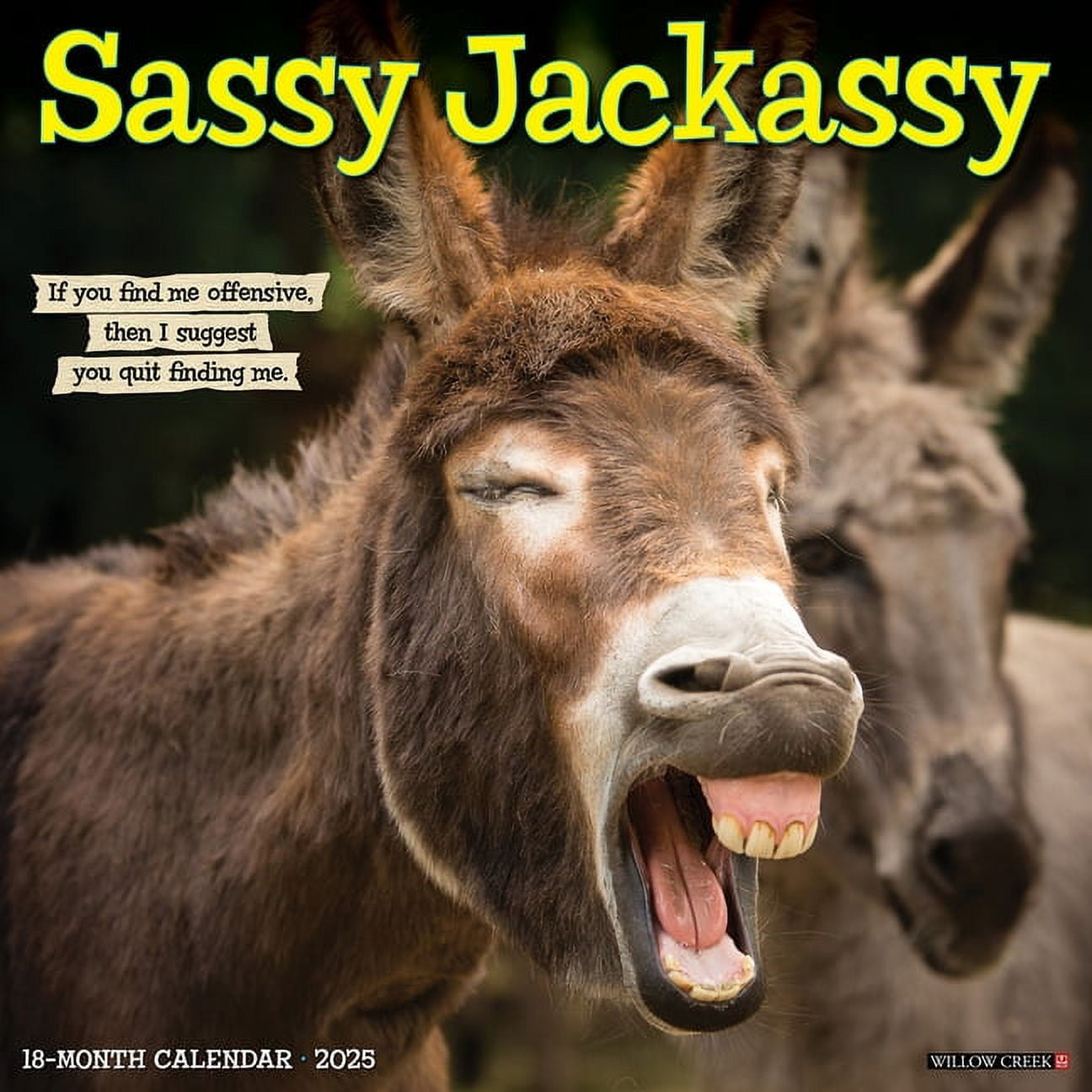 Sassy Jackassy 2026 12 X 12 Wall Calendar, (Hardcover) - Walmart.com