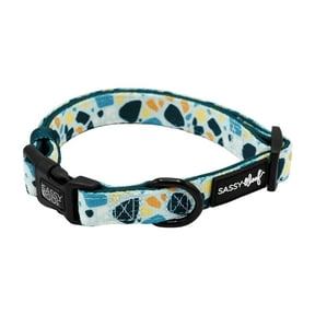 Sassy Woof - Walmart.com