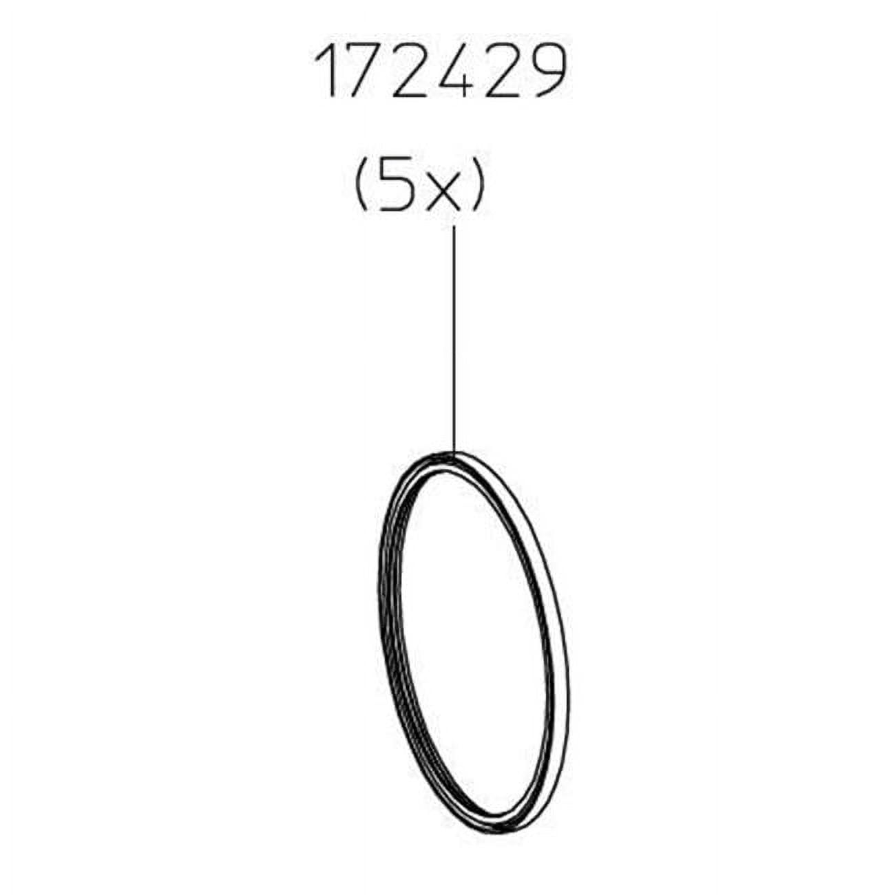 Sata Spray Equipment SQ172429 Seal Air Cap Ring, Pack of 5 - Walmart.com
