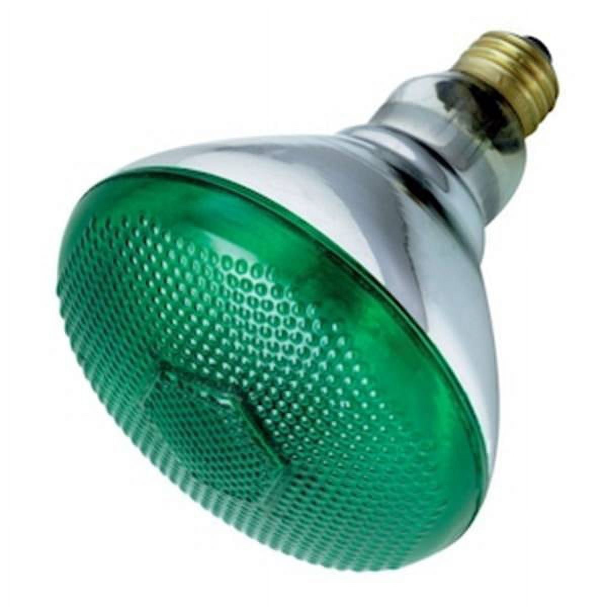 Satco 05005 - 100BR38/G/230V S5005 Colored Flood Light Bulb - Walmart.com