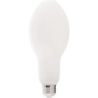 Long Bulb