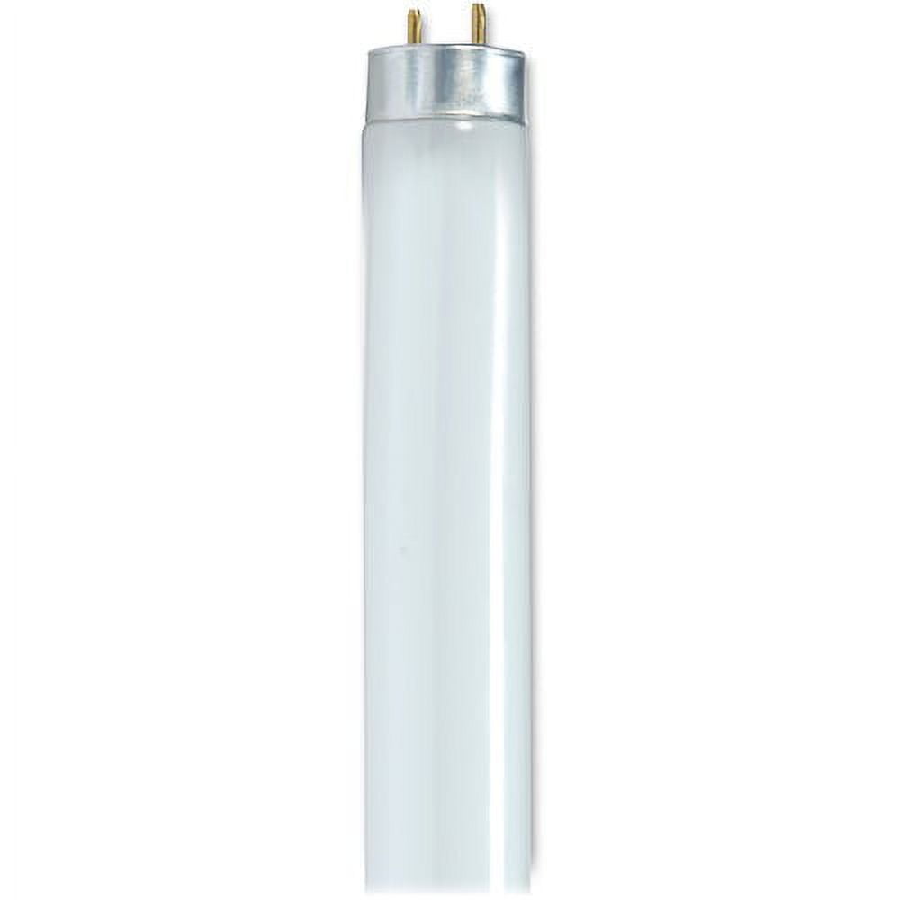 Satco 32-watt 48" T8 Fluorescent Bulbs - 32 W - 120 V AC - 3050 lm - T8 ...