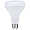 Visual Comfort Lens??? LED Lamp, 18 watt, 120 volt, PAR38, Medium Screw ...