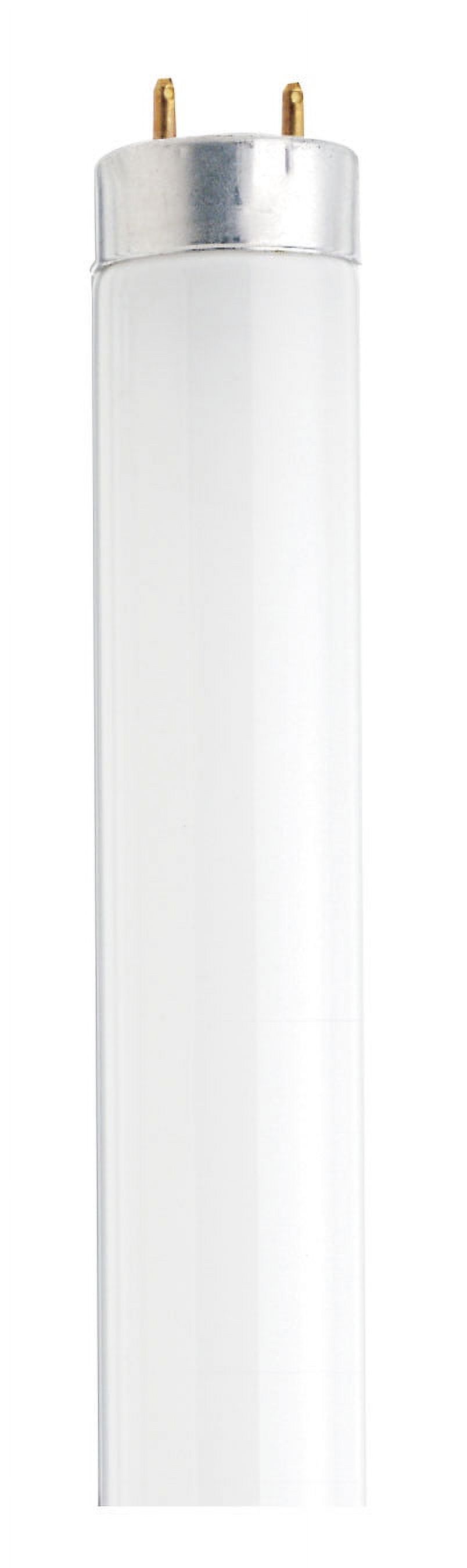 Satco Lighting S6510 Single 15 Watt 18" Wide T8 Bi Pin Fluorescent Bulb ...