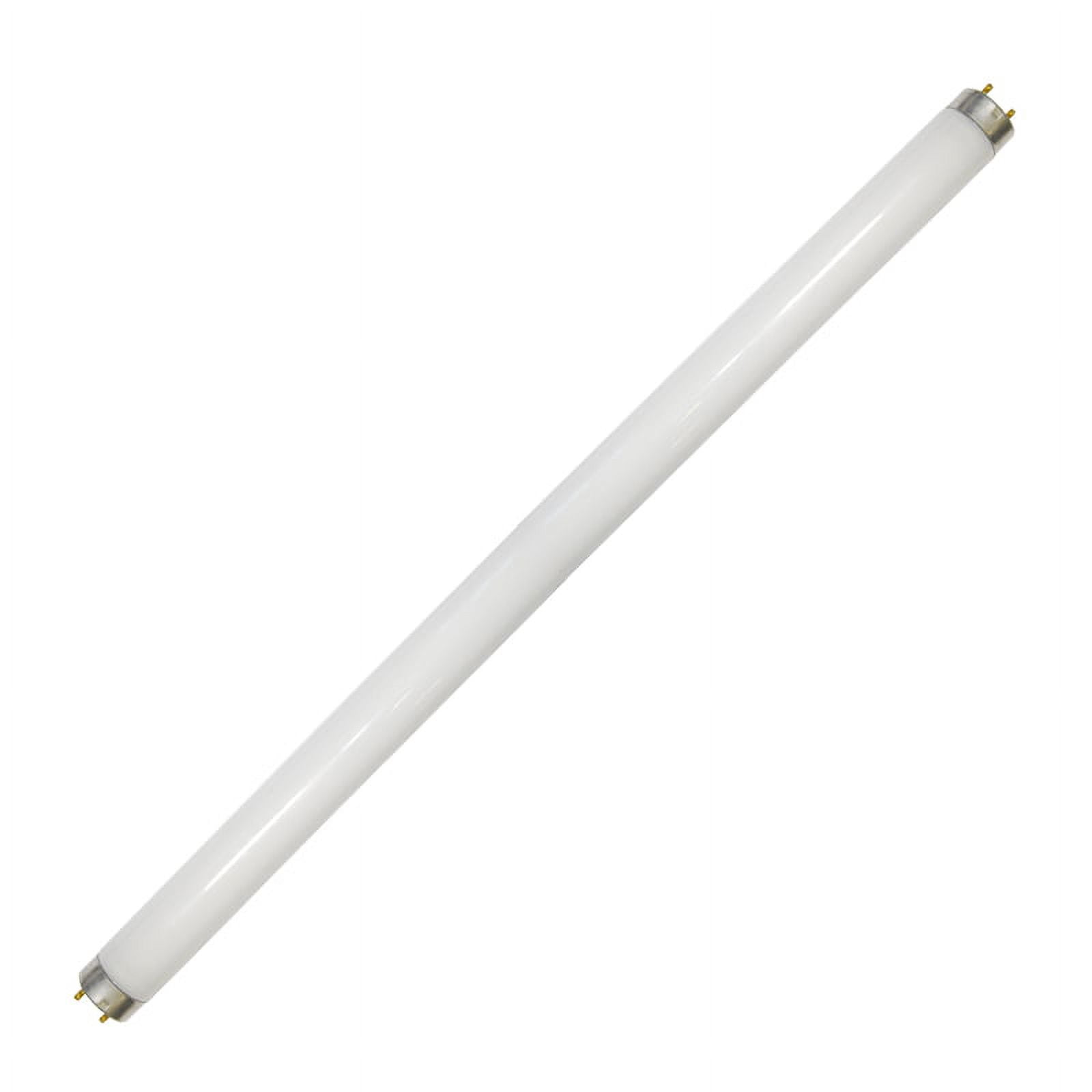 Sylvania F30T8 30W 36in 4200K Cool White T8 Fluorescent Tube Light Bulb ...