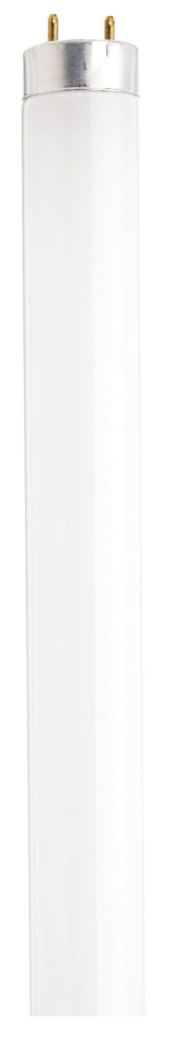 Satco Lighting S6537 Single 32 Watt 48" Wide T8 Bi Pin Fluorescent Bulb ...