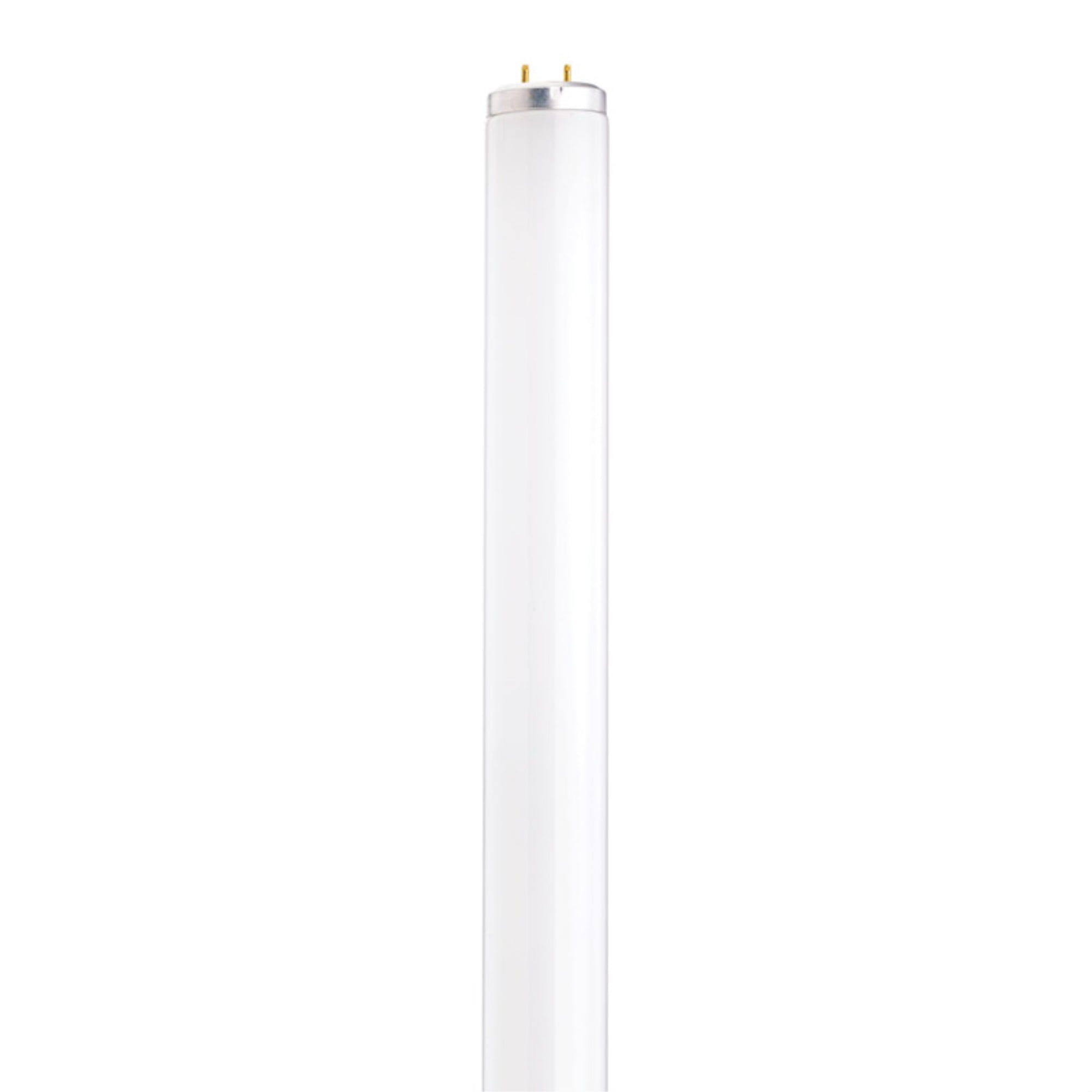 Satco Lighting S6565 Single 20 Watt 24" Wide T12 Bi Pin Fluorescent ...