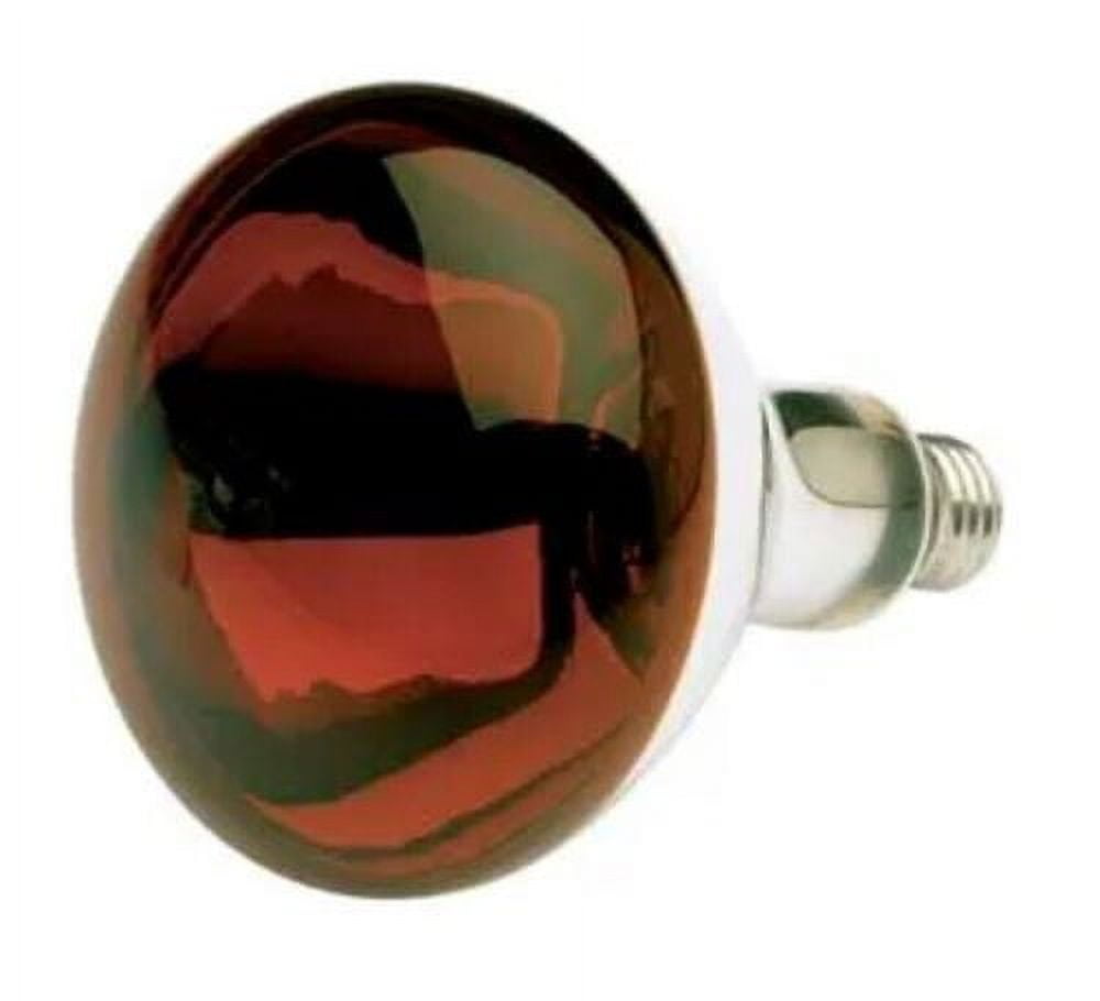 Satco S4998 250 Watt R40 Dimmable Red Heat Lamp Bulbs - Walmart.com