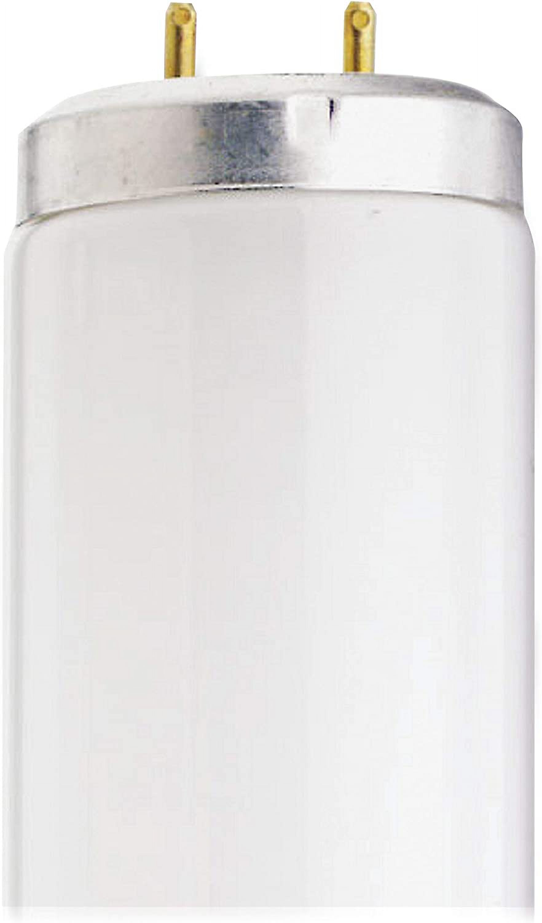 Satco S6637 T12 40W Light Bulb Fluorescent Tube, 48", Cool White, 30 ...