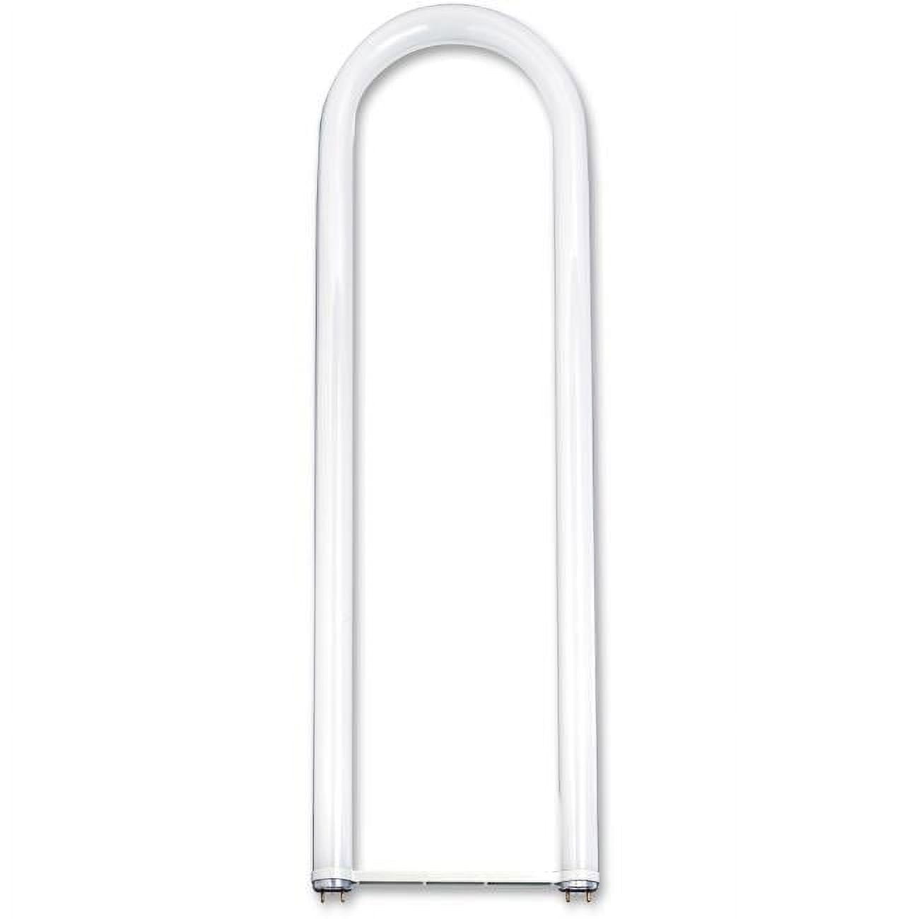 Satco® T8 Cool White U-Bend Fluorescent Bulbs, 32 Watts, Carton Of 16 ...