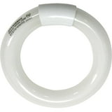 Satco T9 Circline Compact Fluorescent Lamp With 4-Pin Base, Cool White ...