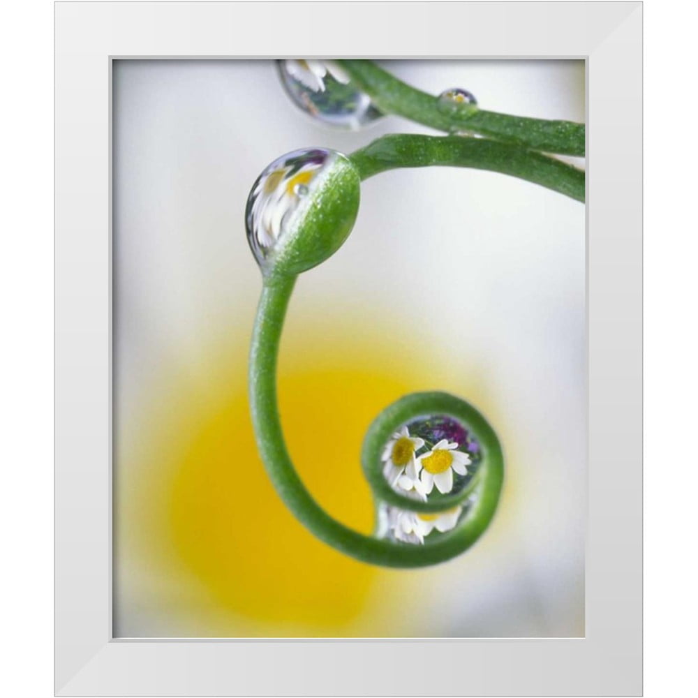 Satushek, Steve 15x17 White Modern Wood Framed Museum Art Print Titled ...