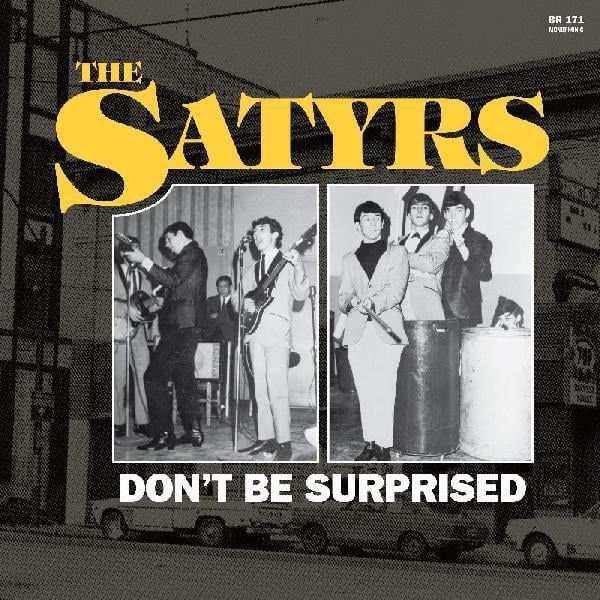 Satyrs - Don't Be Surprised - Music & Performance - CD - Walmart.com