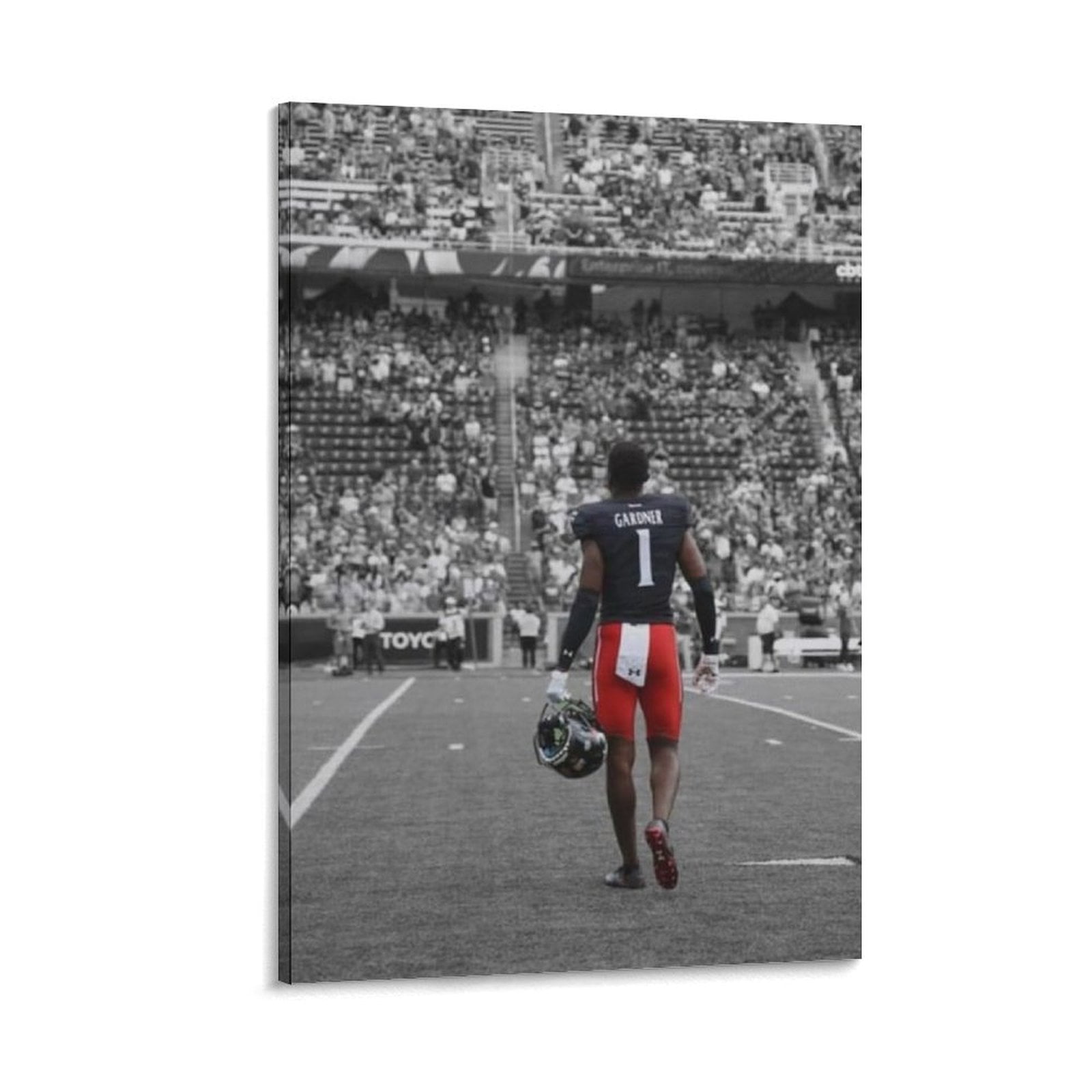 Sauce Gardner Canvas Poster Bedroom Decor Office Room Decor Canvas Wall ...