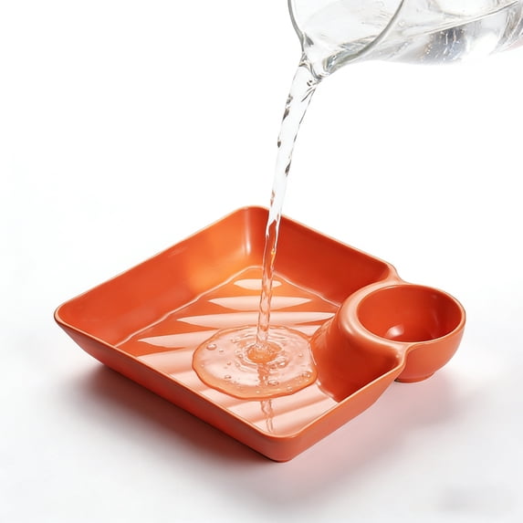 Sauce Separated Plate Chip and Dip Serving Dish with Built-in Well ...