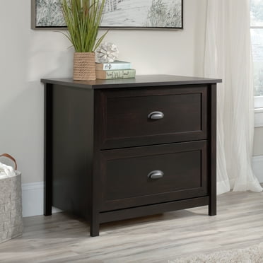 Sauder Summit Station Rustic Office Storage, 2-Drawer Lateral File ...