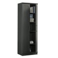 Sauder HomePlus 2-Door Storage Cabinet, Raven Oak Finish - Walmart.com