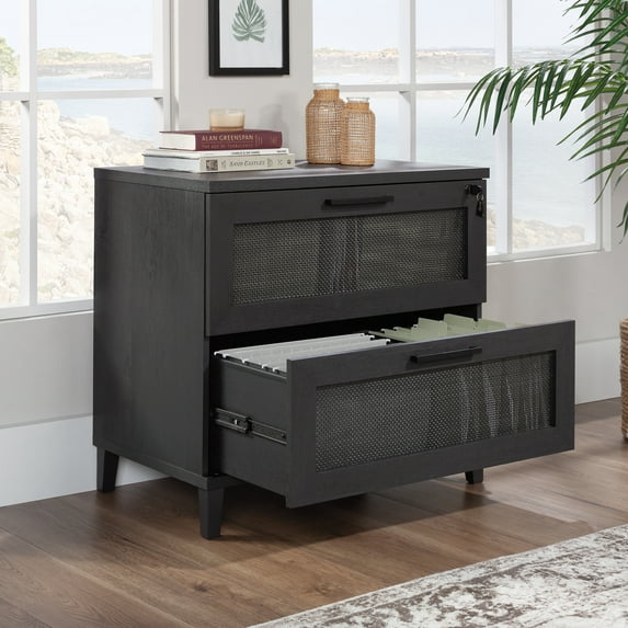 Sauder Tiffin Line 2-Drawer Engineered Wood Lateral File Cabinet ...
