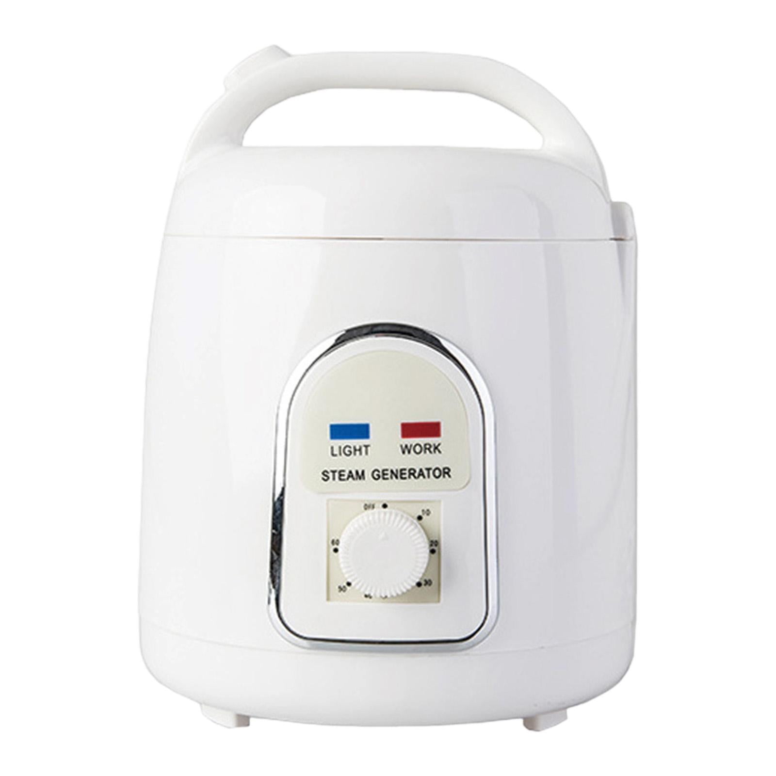 Sauna Steamer Pot Full Body Steam Generator Foot Bath Steaming Safety ...