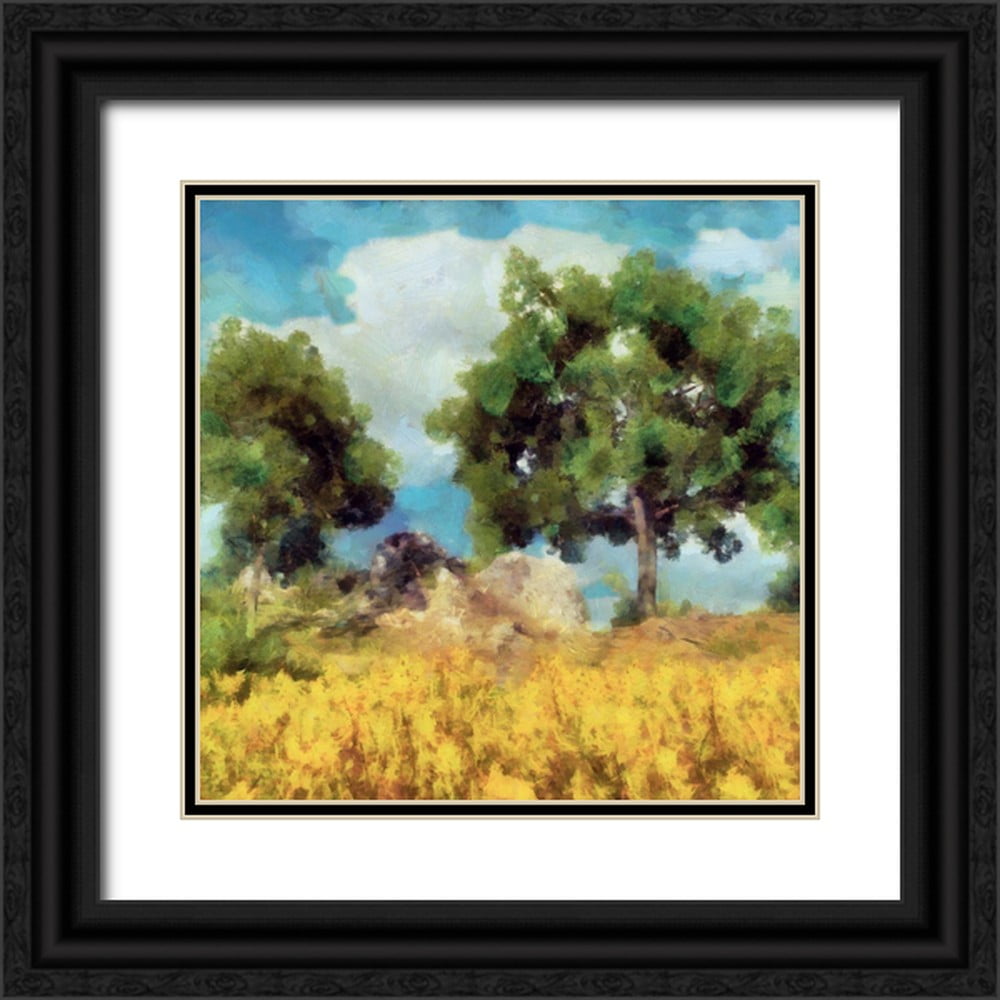 Saunders, Alonzo 12x12 Black Ornate Wood Framed with Double Matting ...