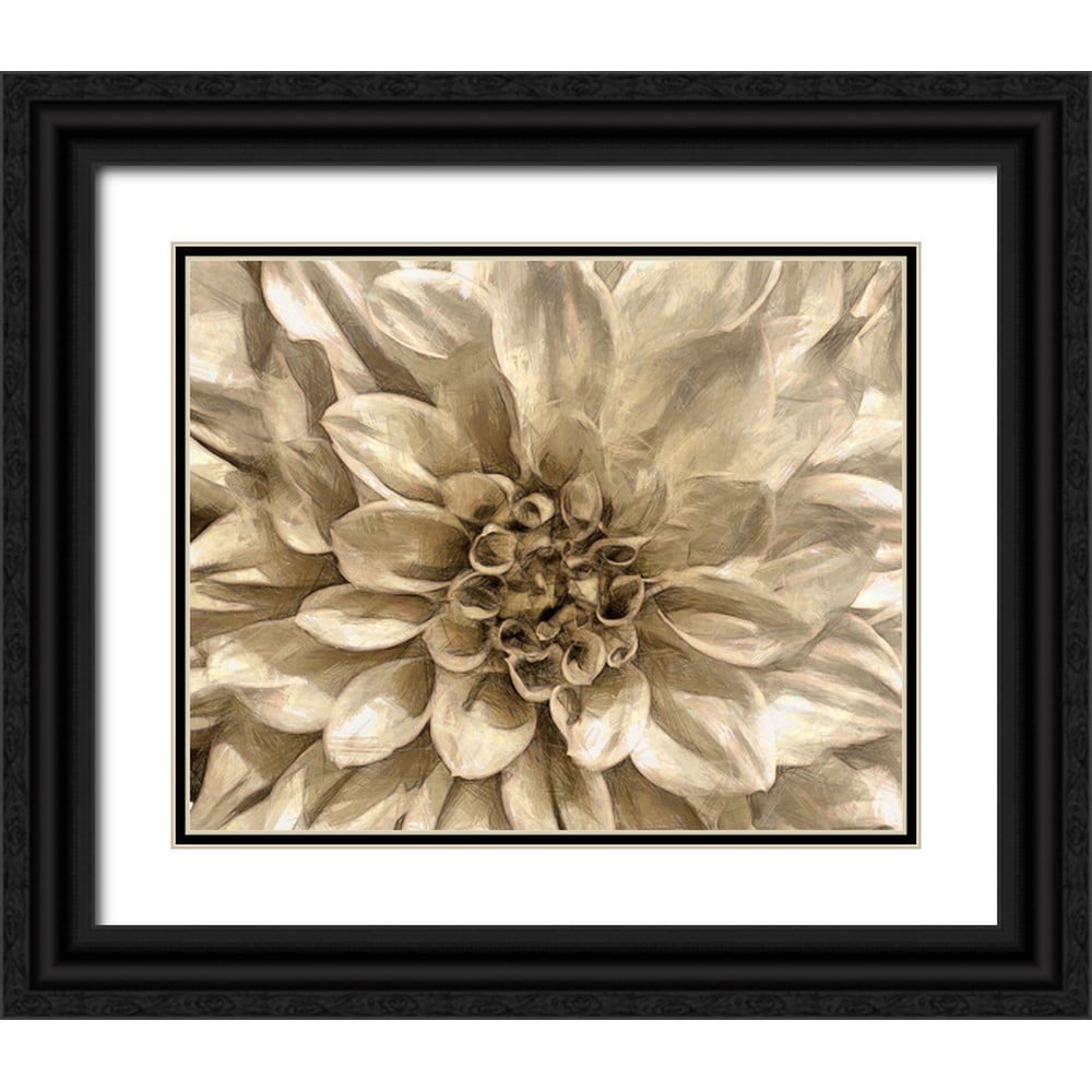 Saunders, Alonzo 14x12 Black Ornate Wood Framed with Double Matting ...