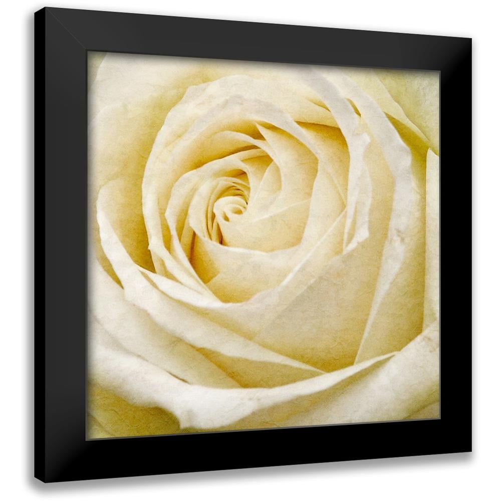 Saunders, Alonzo 15x15 Black Modern Framed Museum Art Print Titled ...