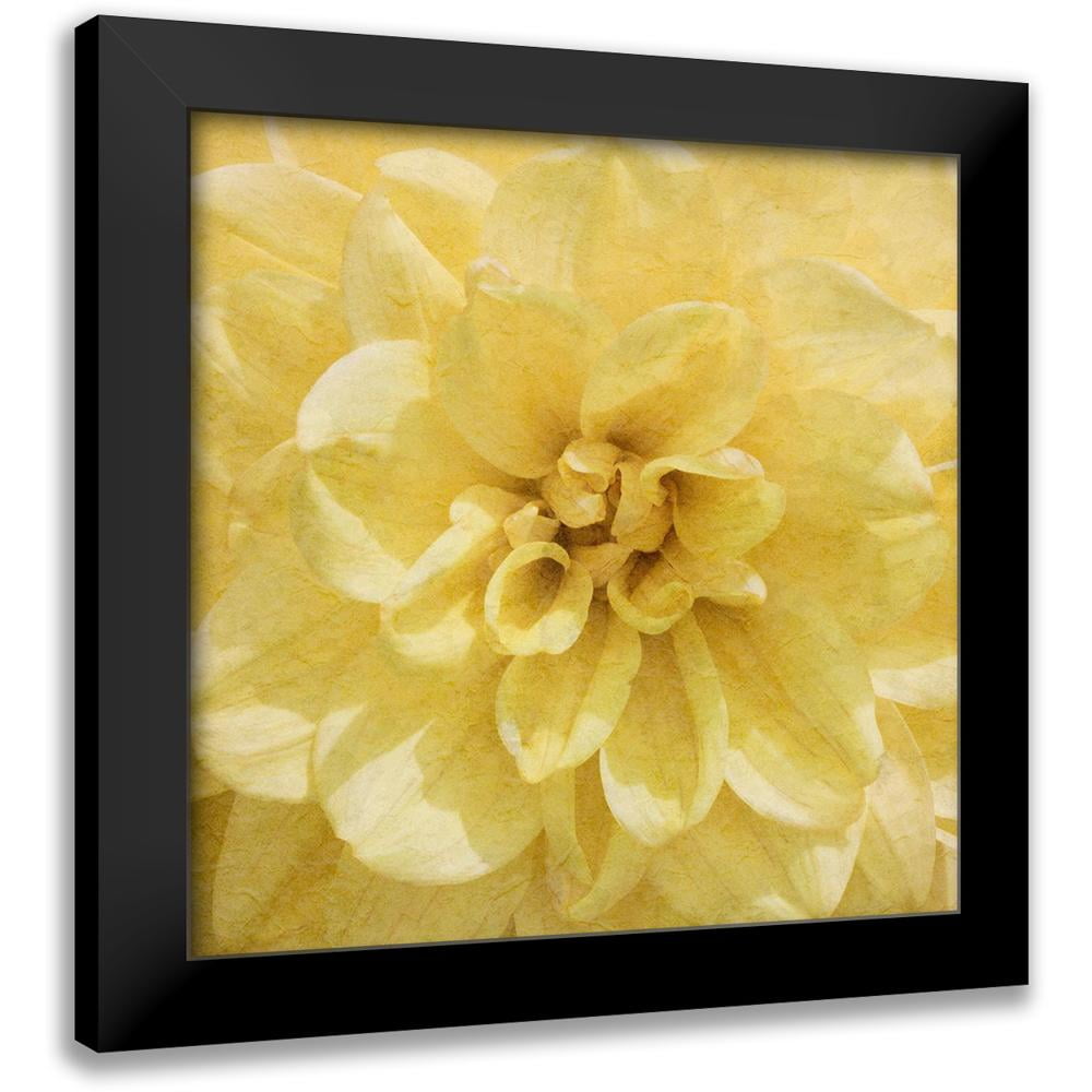 Saunders, Alonzo 15x15 Black Modern Framed Museum Art Print Titled ...