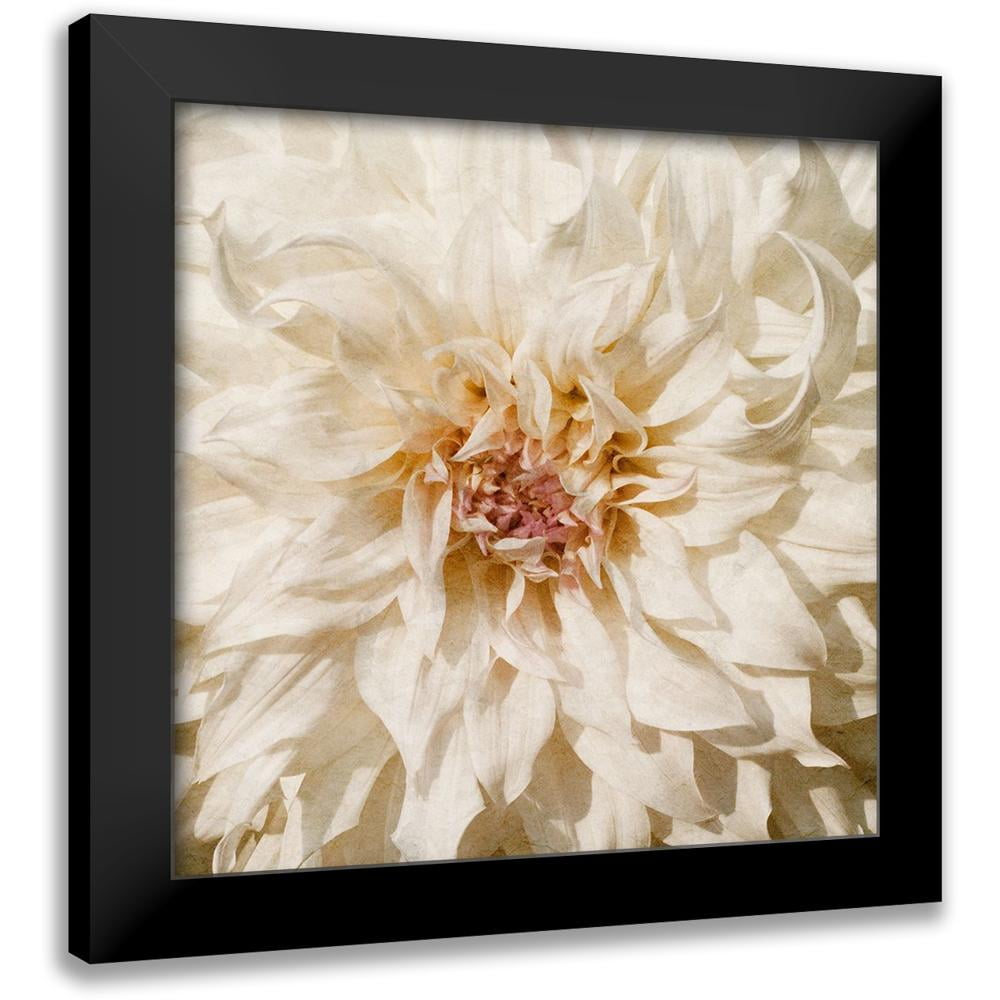 Saunders, Alonzo 15x15 Black Modern Framed Museum Art Print Titled ...