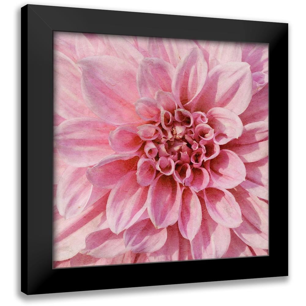 Saunders, Alonzo 15x15 Black Modern Framed Museum Art Print Titled ...