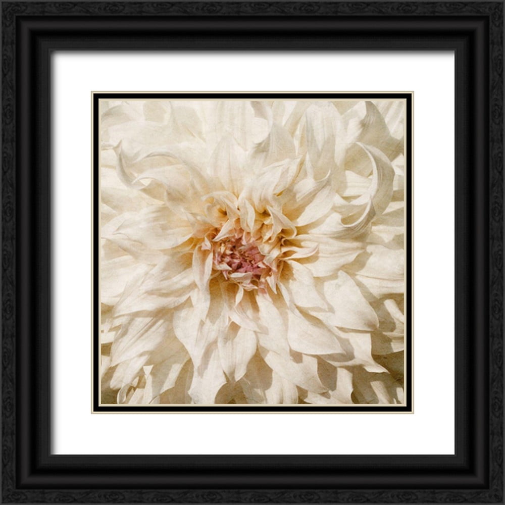 Saunders, Alonzo 15x15 Black Ornate Wood Framed with Double Matting ...