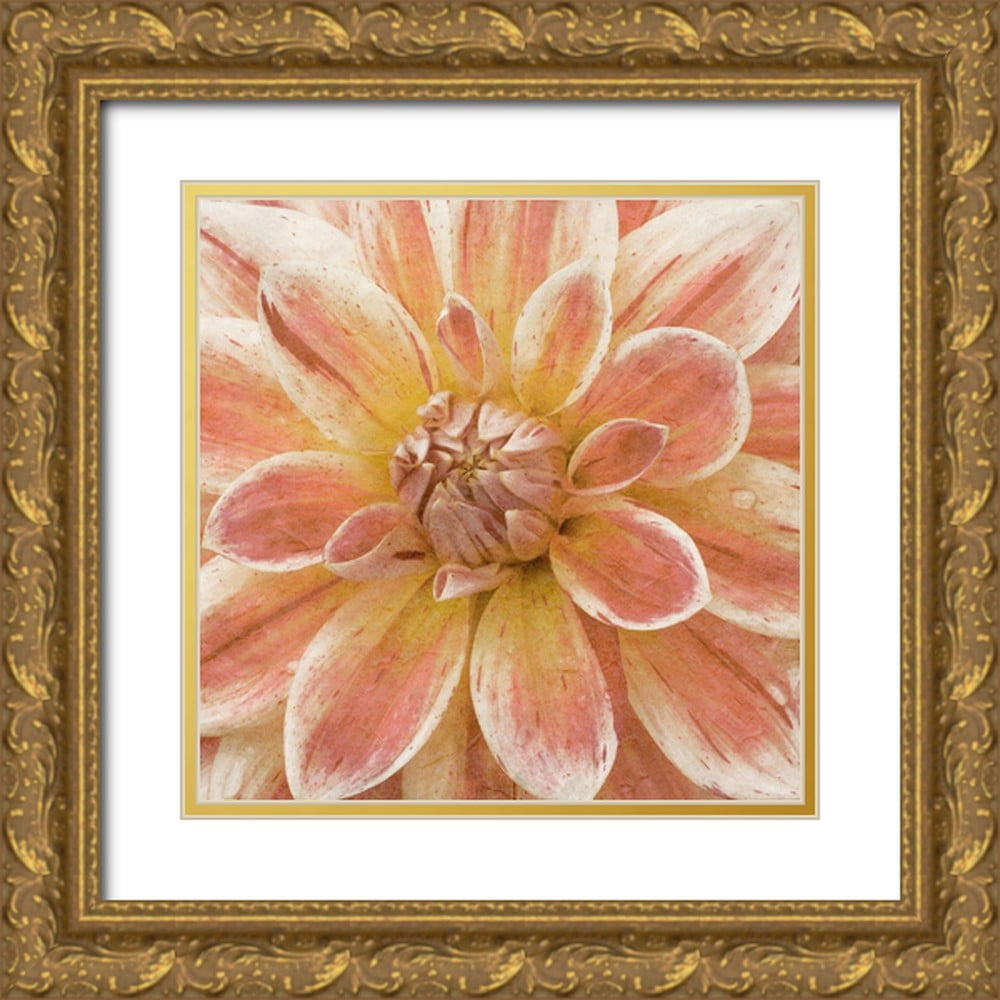 Saunders, Alonzo 15x15 Gold Ornate Wood Framed with Double Matting ...
