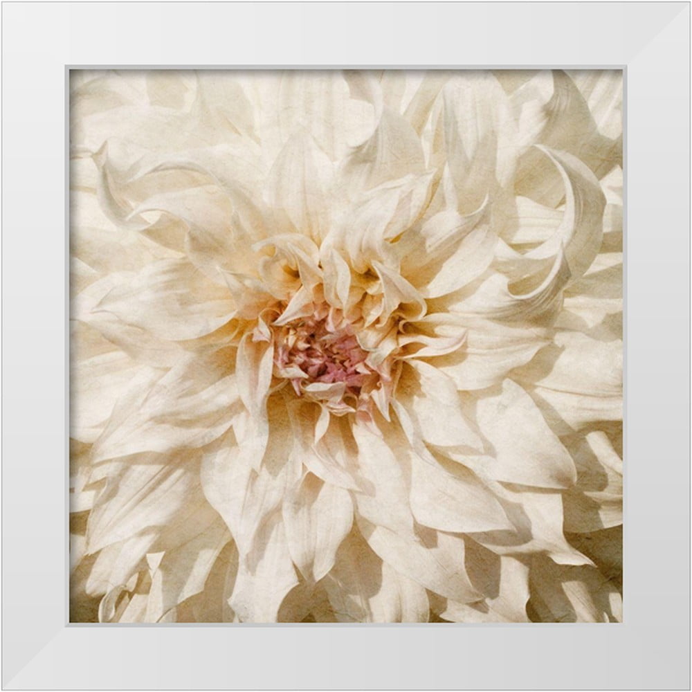 Saunders, Alonzo 15x15 White Modern Wood Framed Museum Art Print Titled ...
