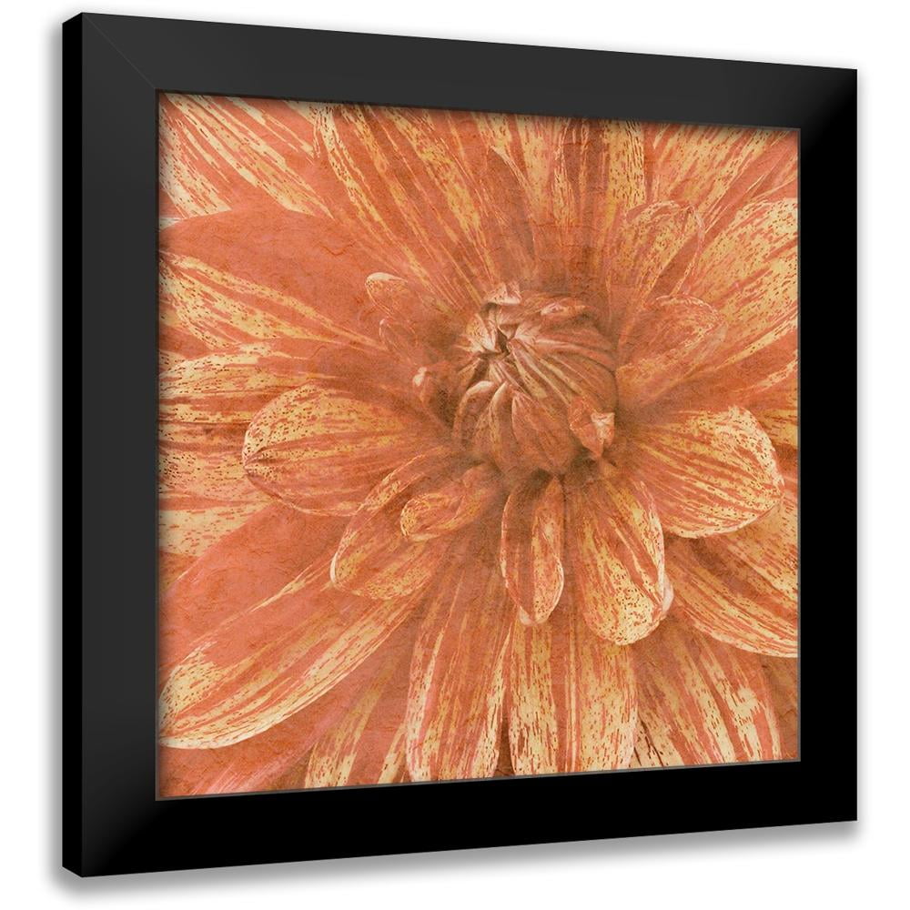 Saunders, Alonzo 20x20 Black Modern Framed Museum Art Print Titled ...