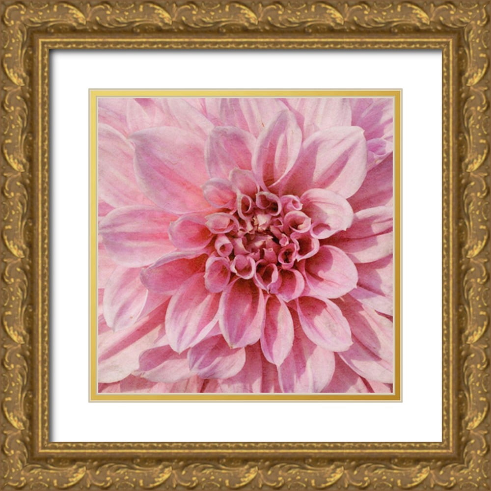 Saunders, Alonzo 20x20 Gold Ornate Wood Framed with Double Matting ...