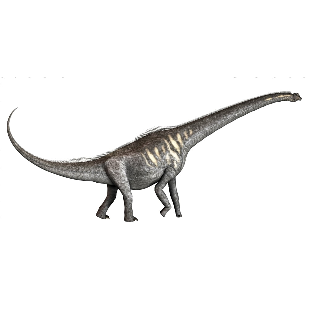 Sauroposeidon dinosaur from the Cretaceous Period Poster Print ...