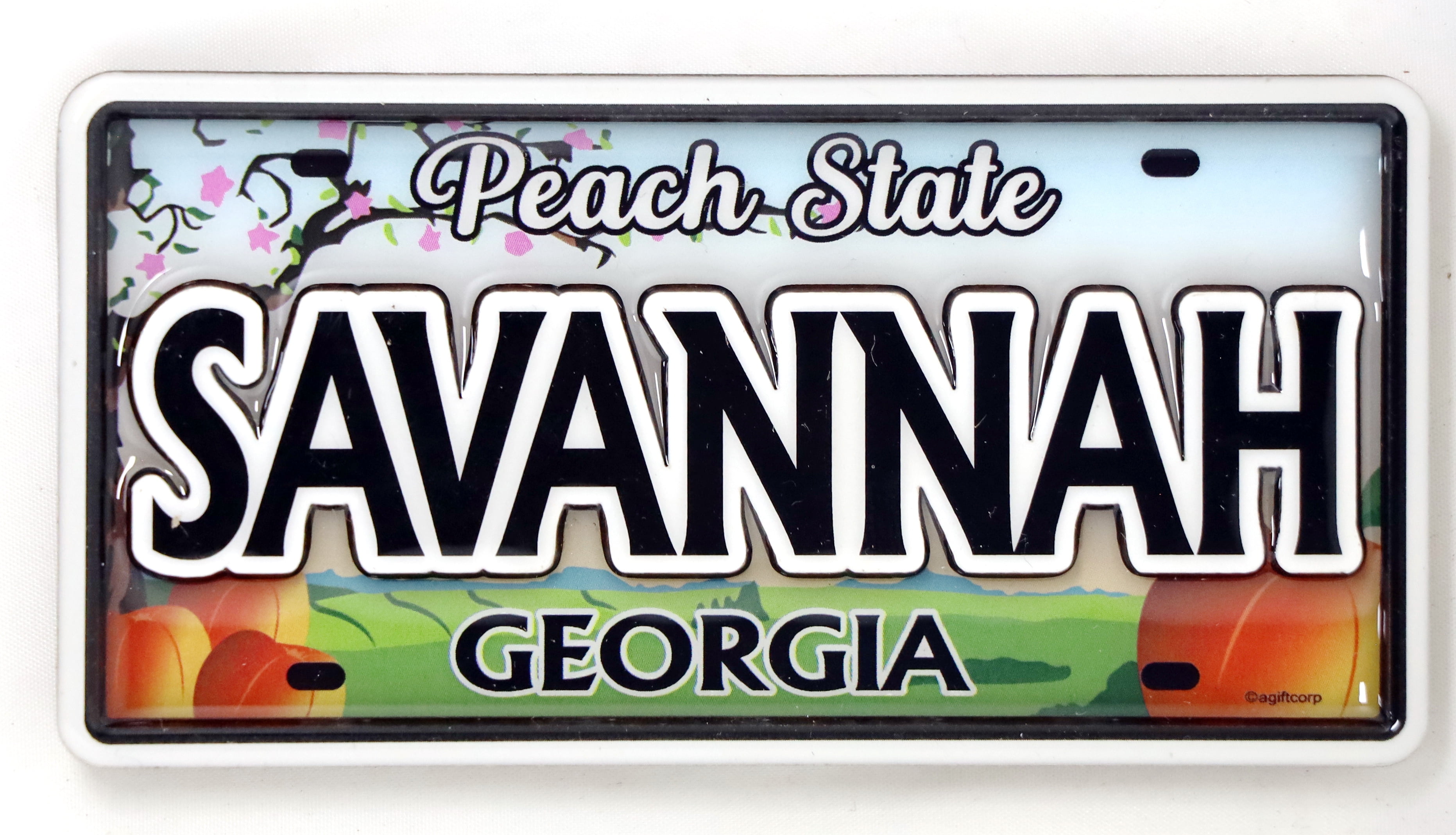 Savannah Georgia License Plate Dual Layer MDF magnet - Walmart.com